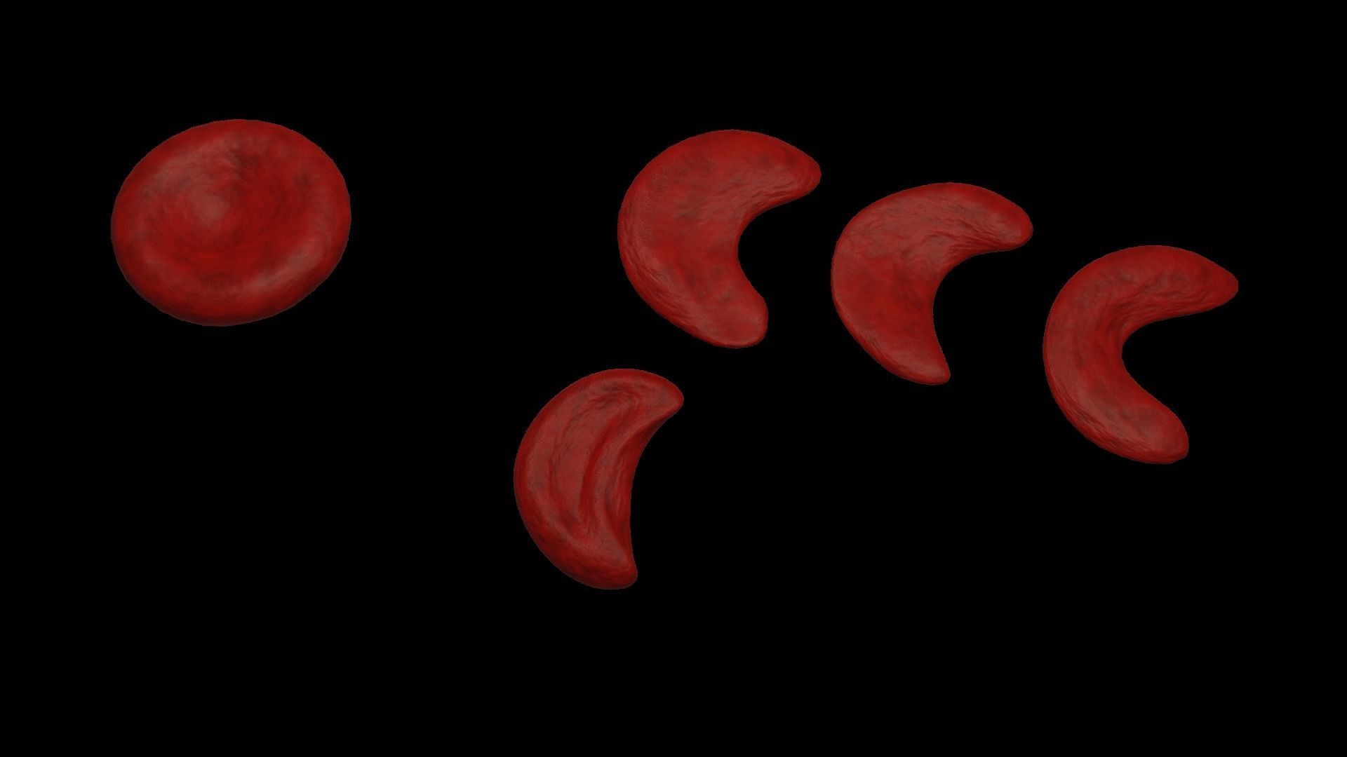 3D model Sickle Cells VR / AR / low-poly | CGTrader