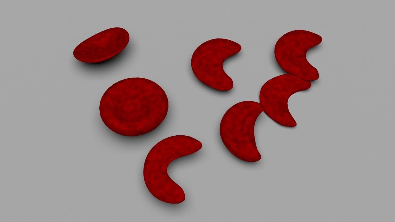 3D model Sickle Cells VR / AR / low-poly | CGTrader