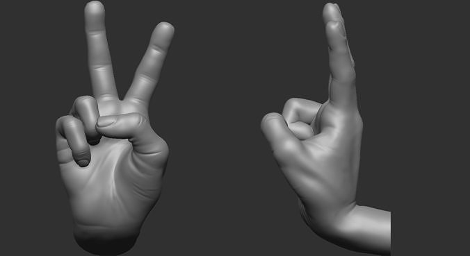 Peace sign hand 3D model | CGTrader