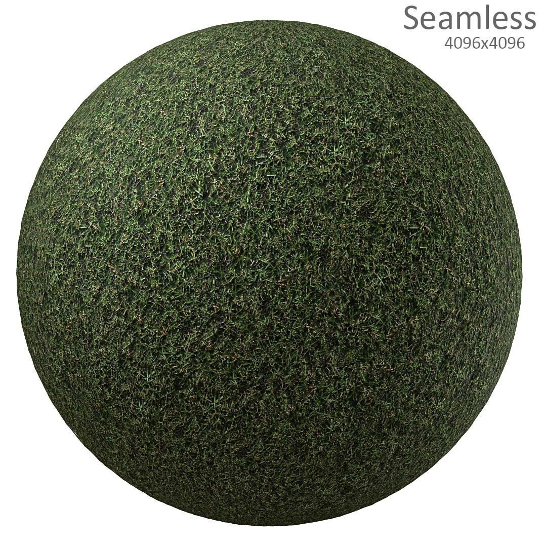 Texture grass texture VR / AR / low-poly | CGTrader