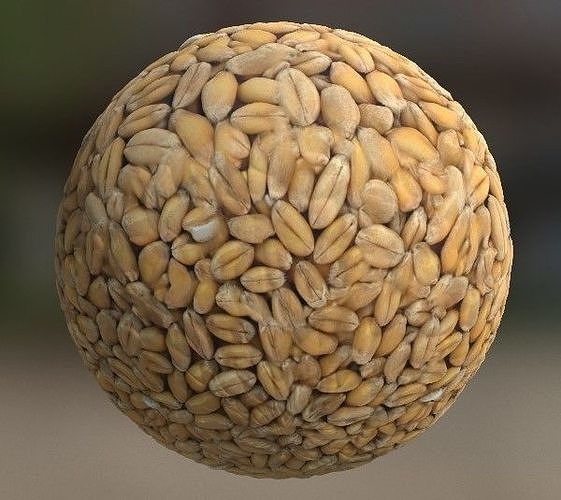 Grain PBR Texture | CGTrader