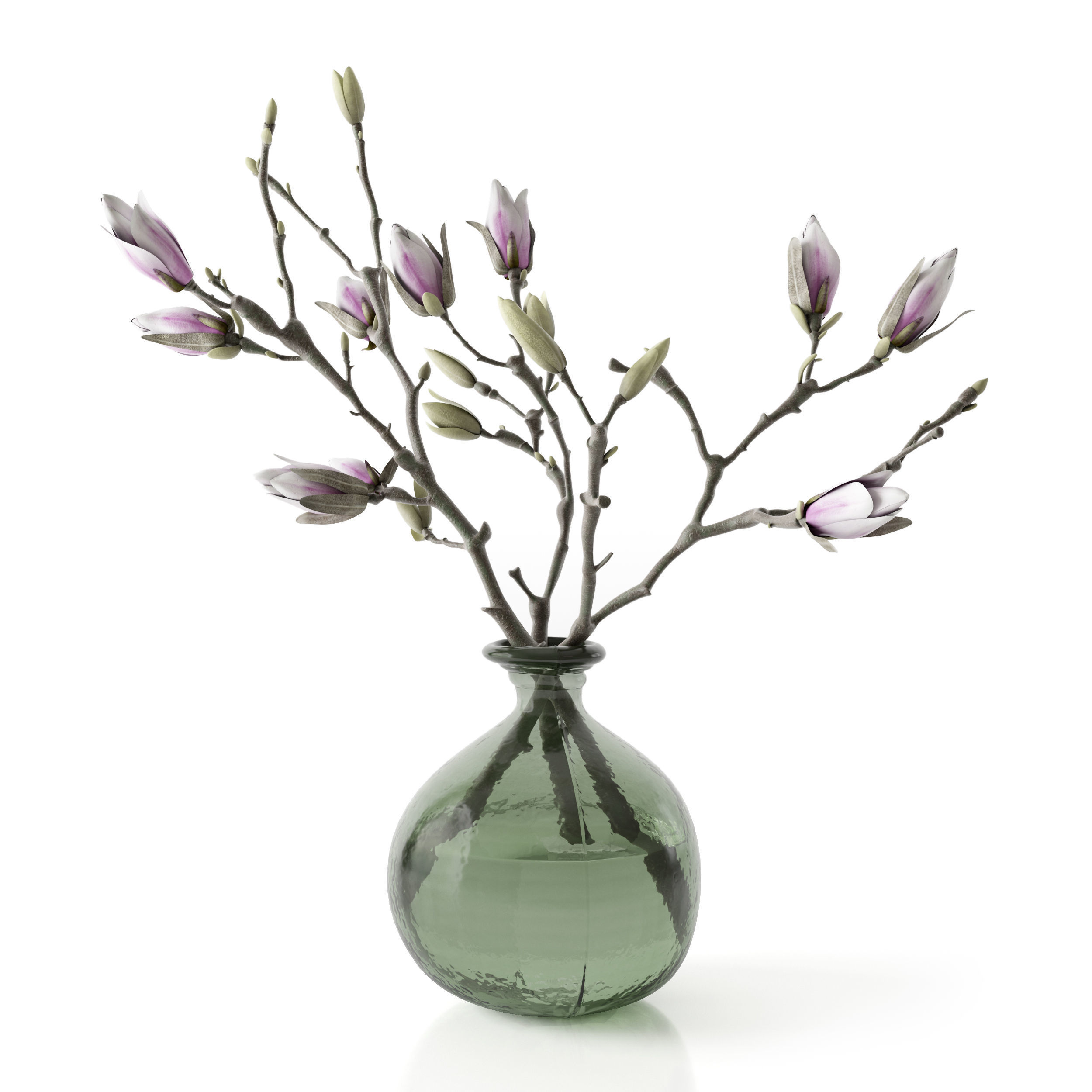 Magnolia in vase 3D model | CGTrader