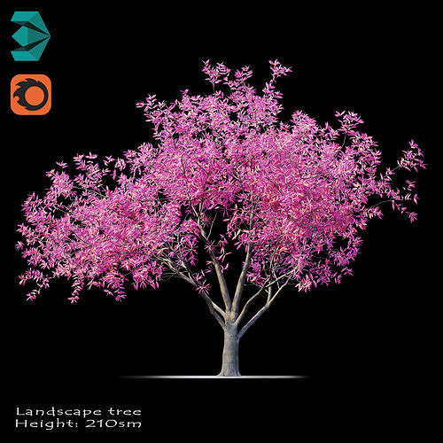 small tree 3D model | CGTrader