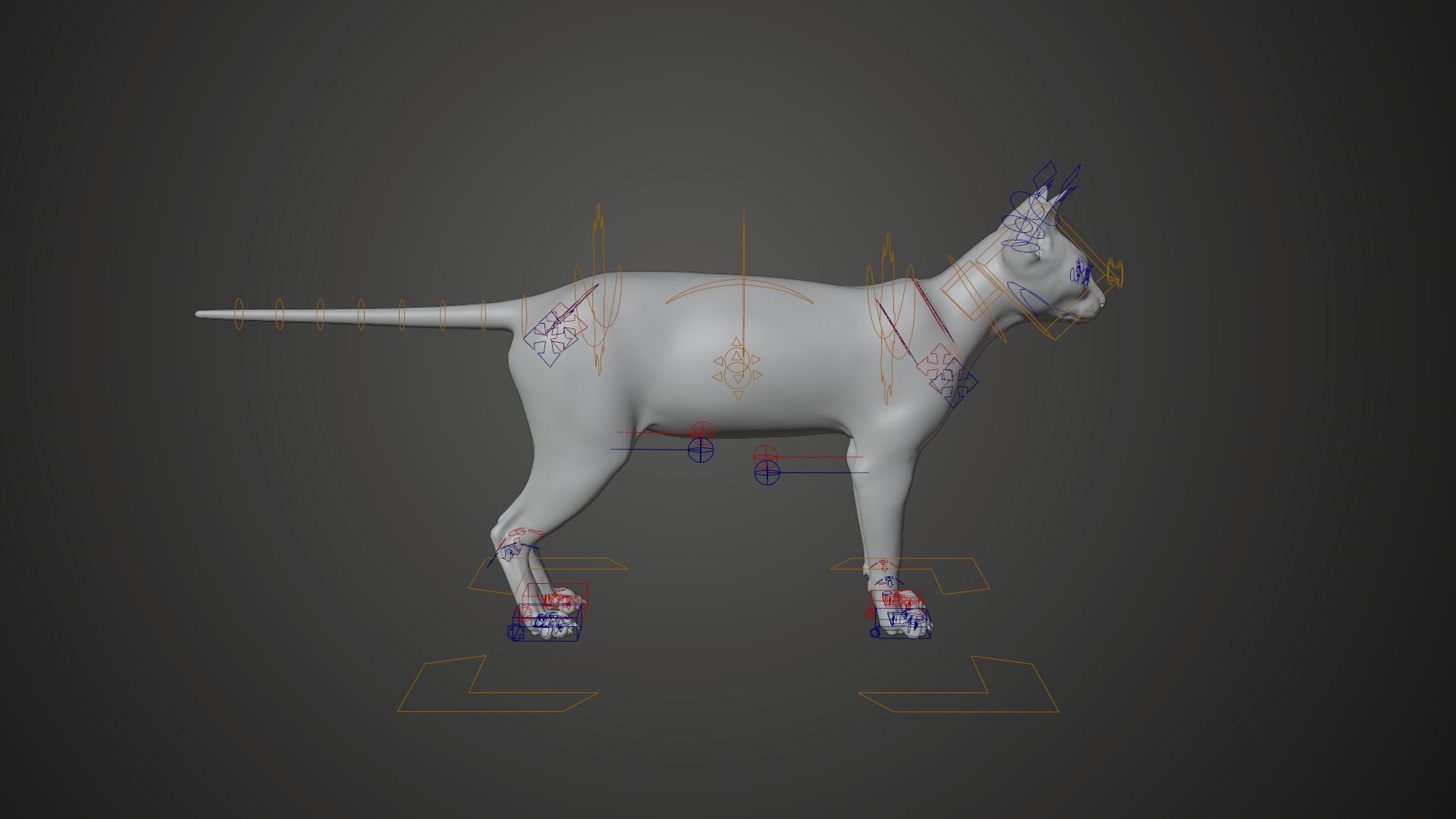 Grey Cat Animated VFX Grace 3D model animated rigged | CGTrader
