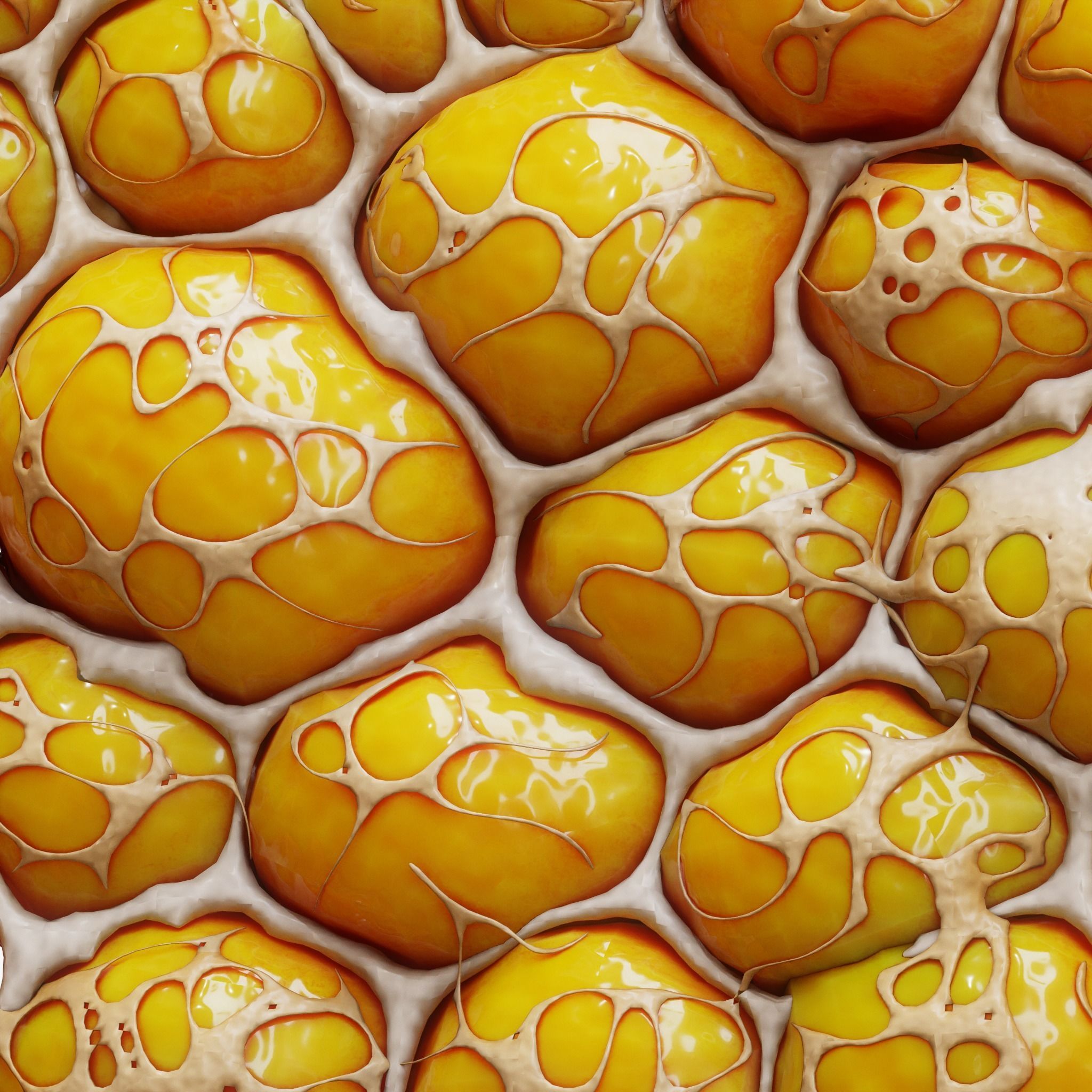 Fat Cell 3D model | CGTrader