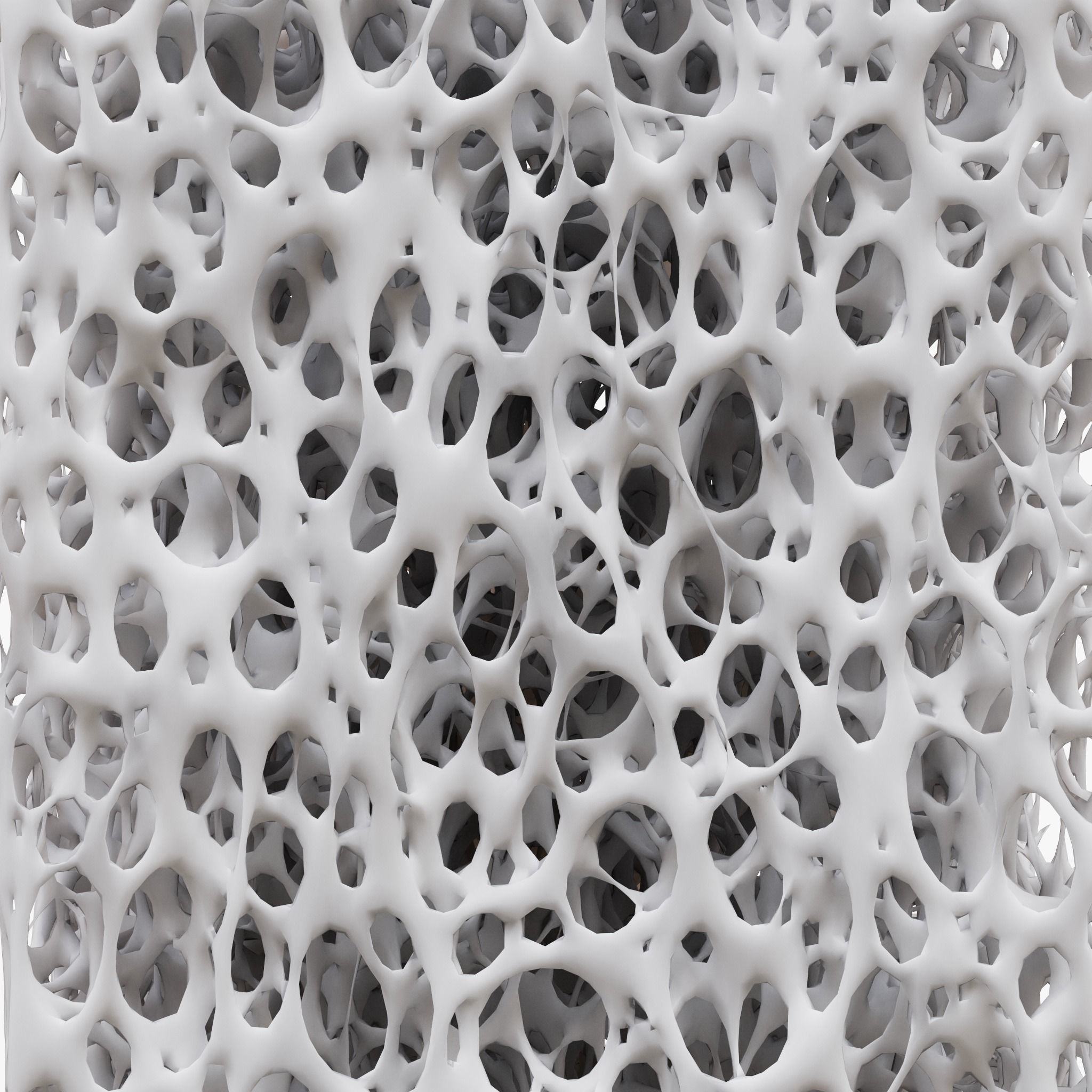 Bone Structure 3D model | CGTrader