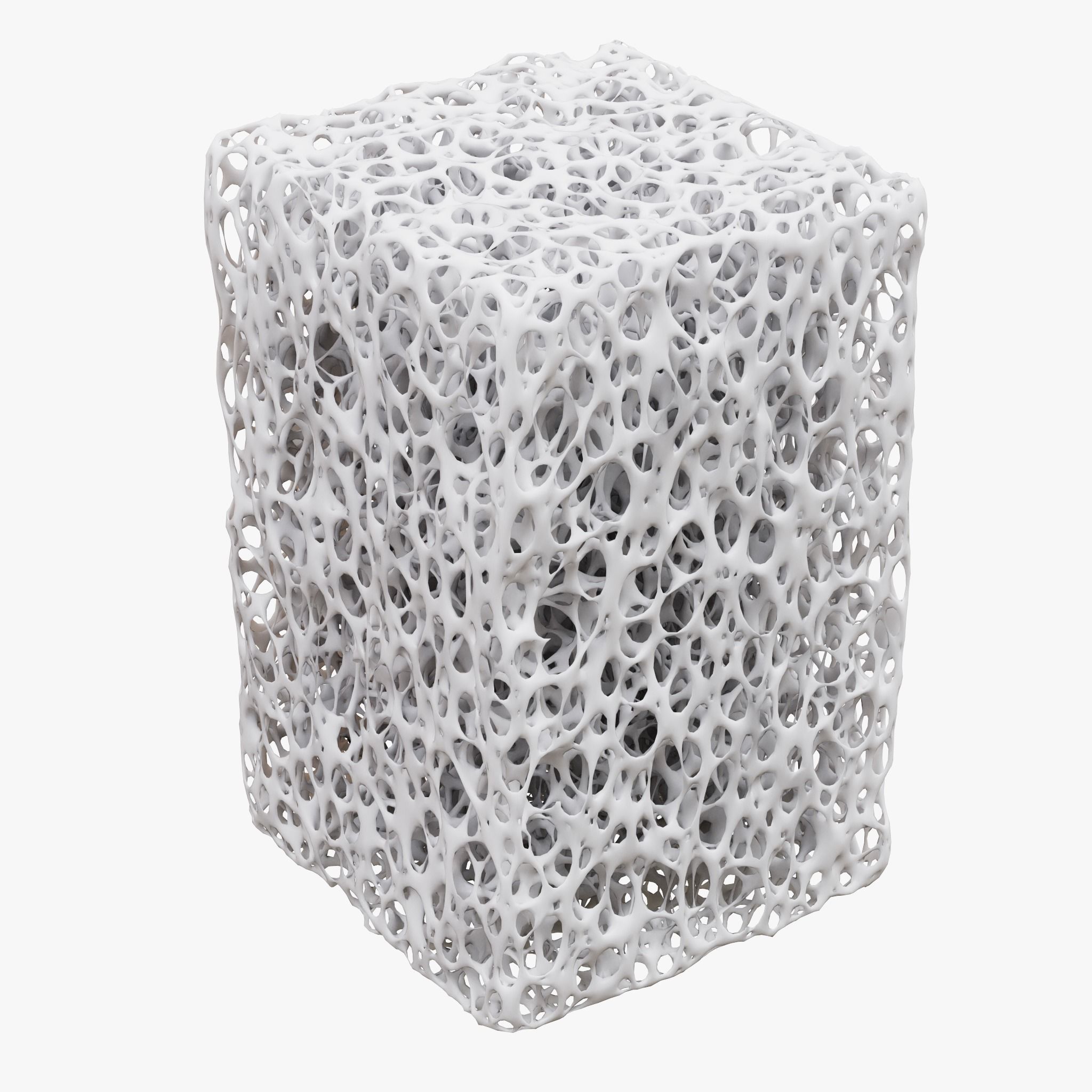 Bone Structure 3D model | CGTrader