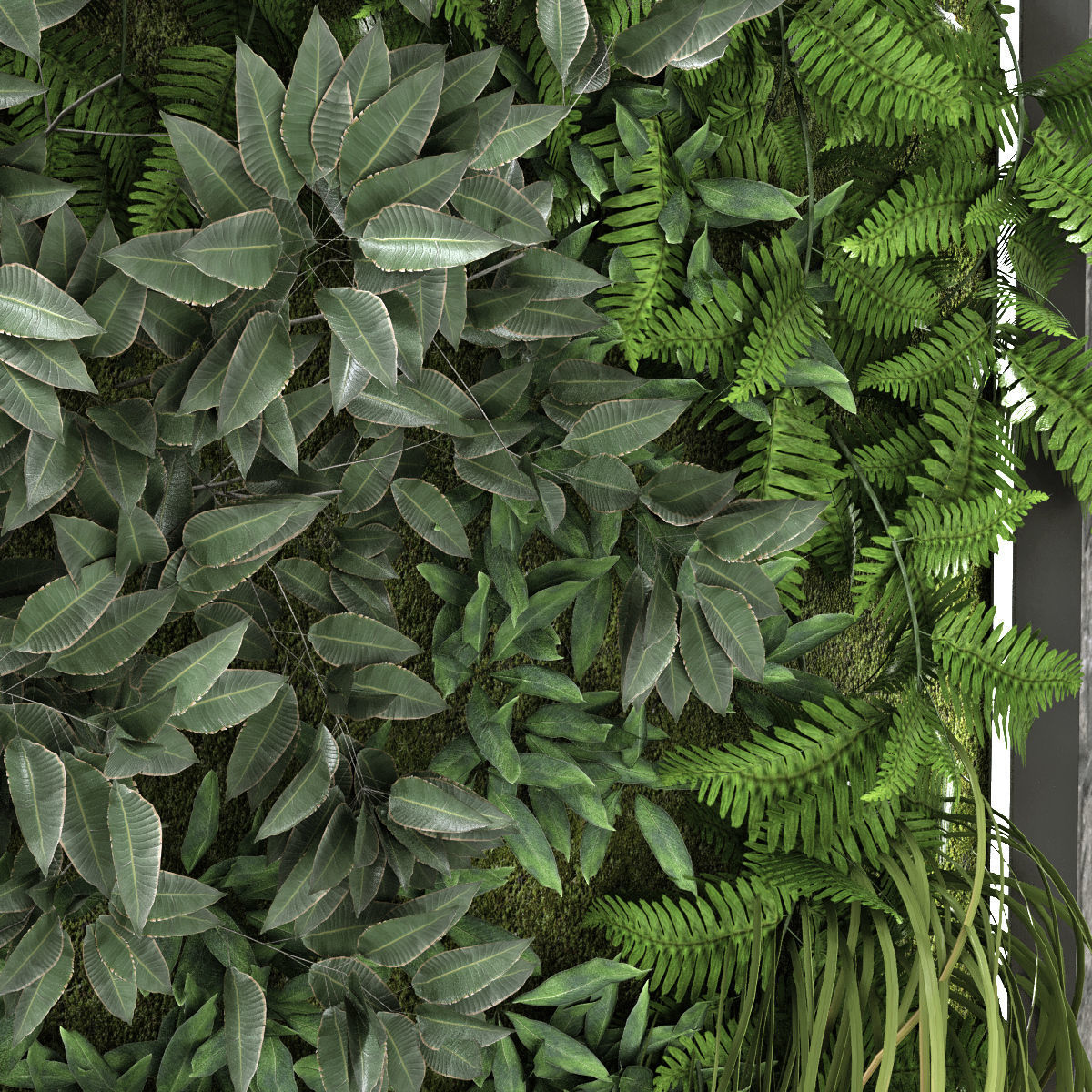 vertical plant 154 3D model | CGTrader