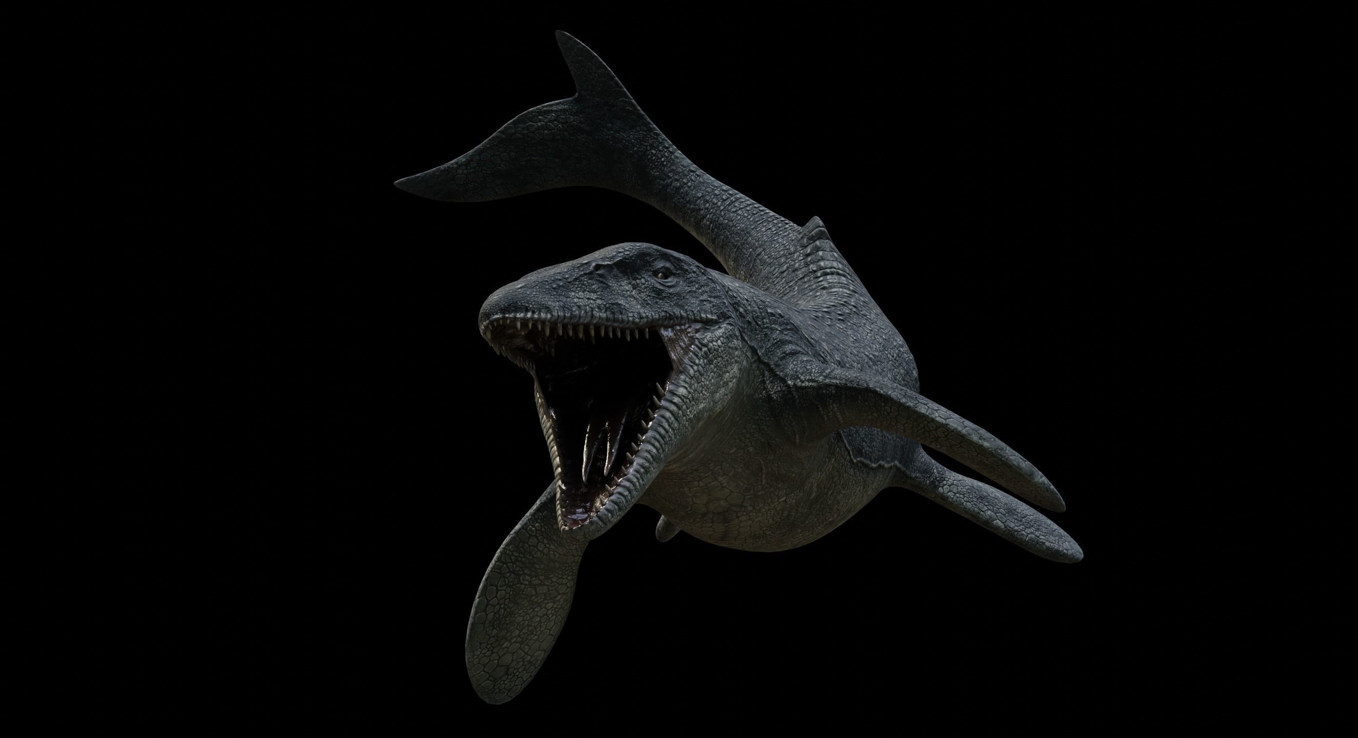 3D model Mosasaurus Mosasaur VR / AR / low-poly | CGTrader