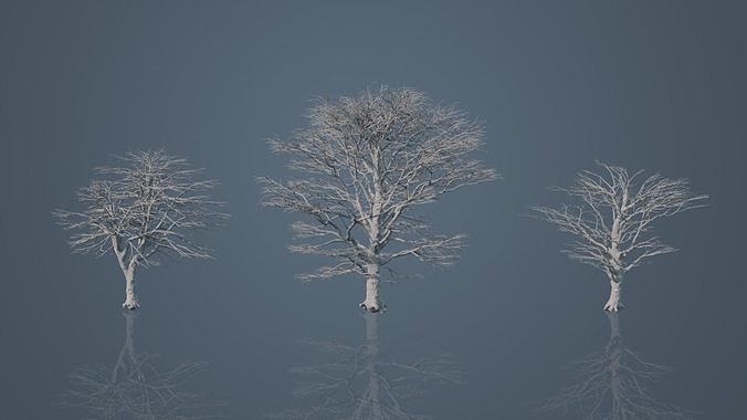 Large Dead Trees 3D model | CGTrader