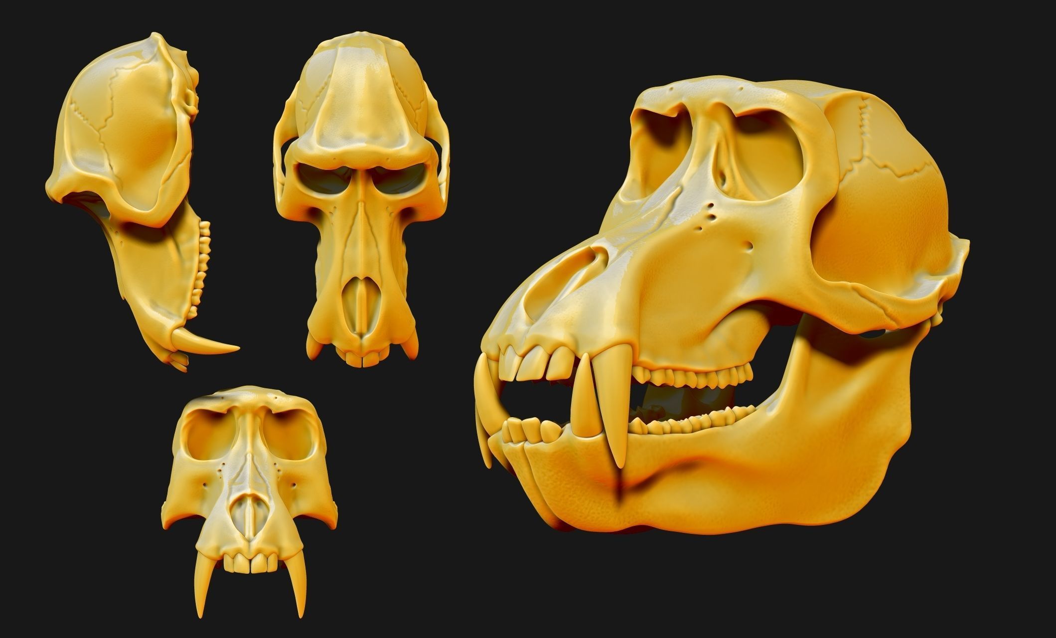Baboon Skull CNC and 3D model 3D printable | CGTrader Baboon Skull CNC and 3D model 3D printable | CGTrader