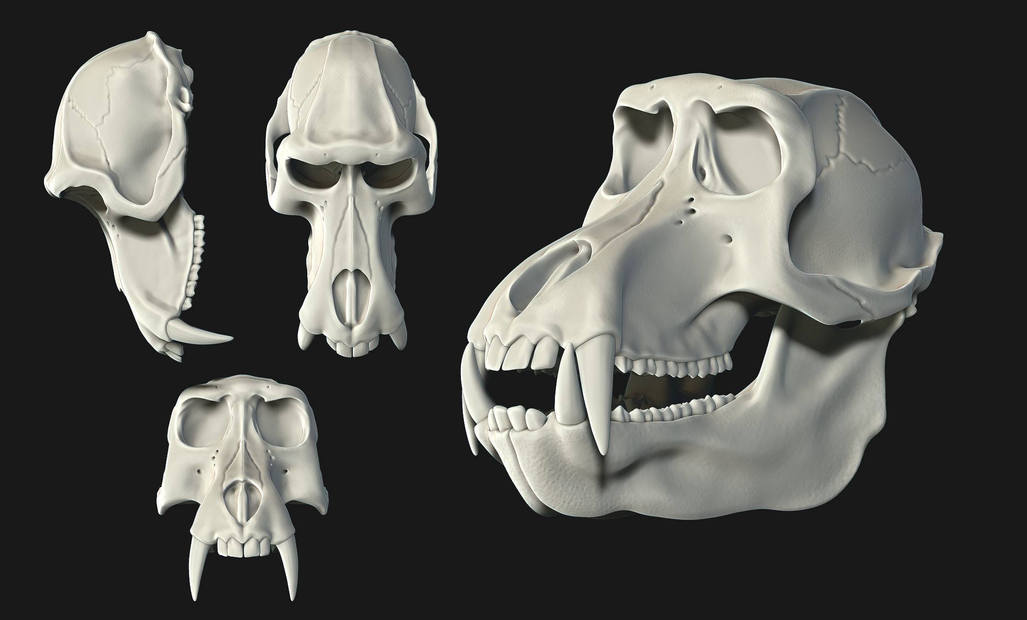 Baboon Skull CNC and 3D model 3D printable | CGTrader