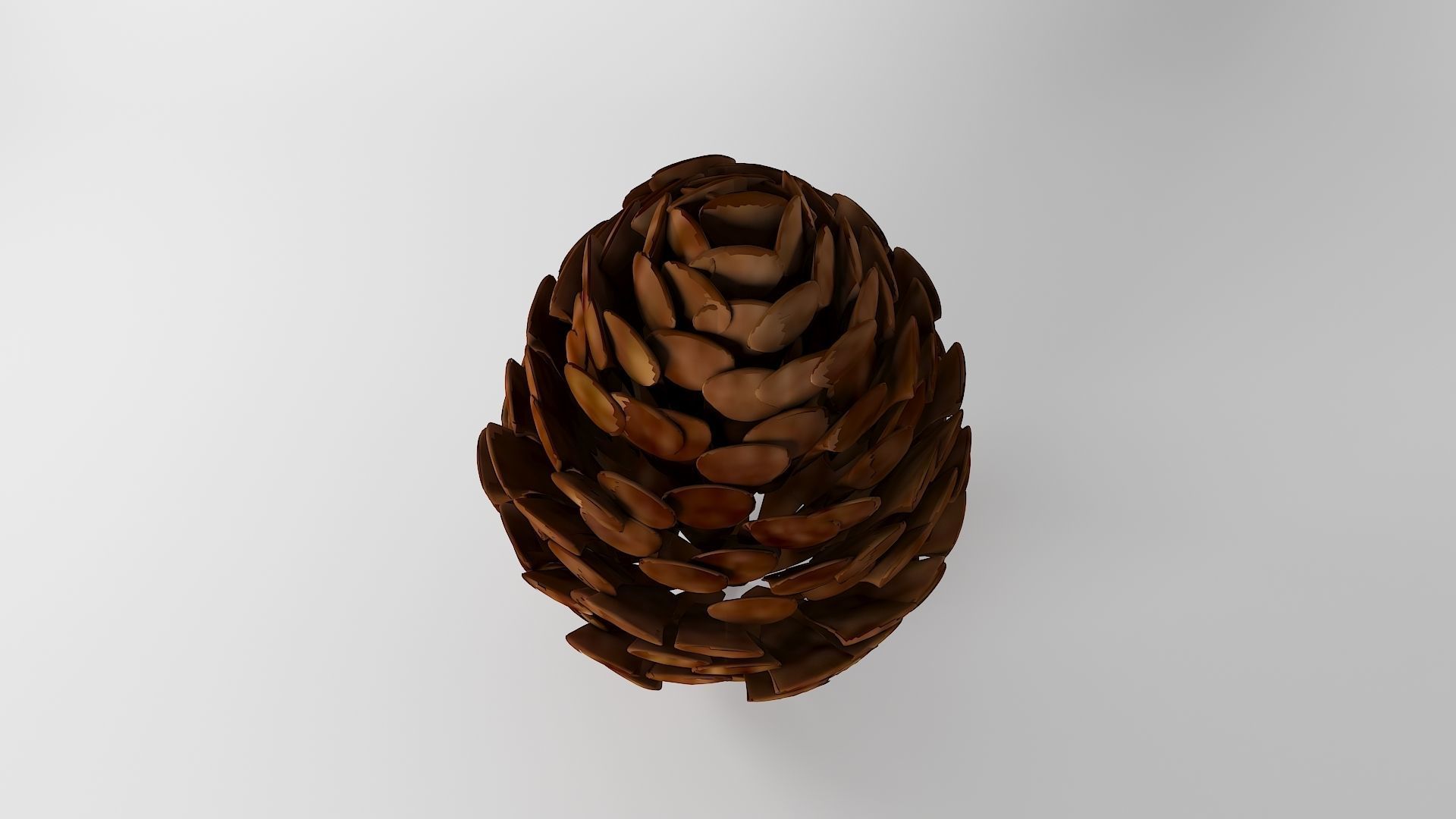 Pine cone 3D model | CGTrader
