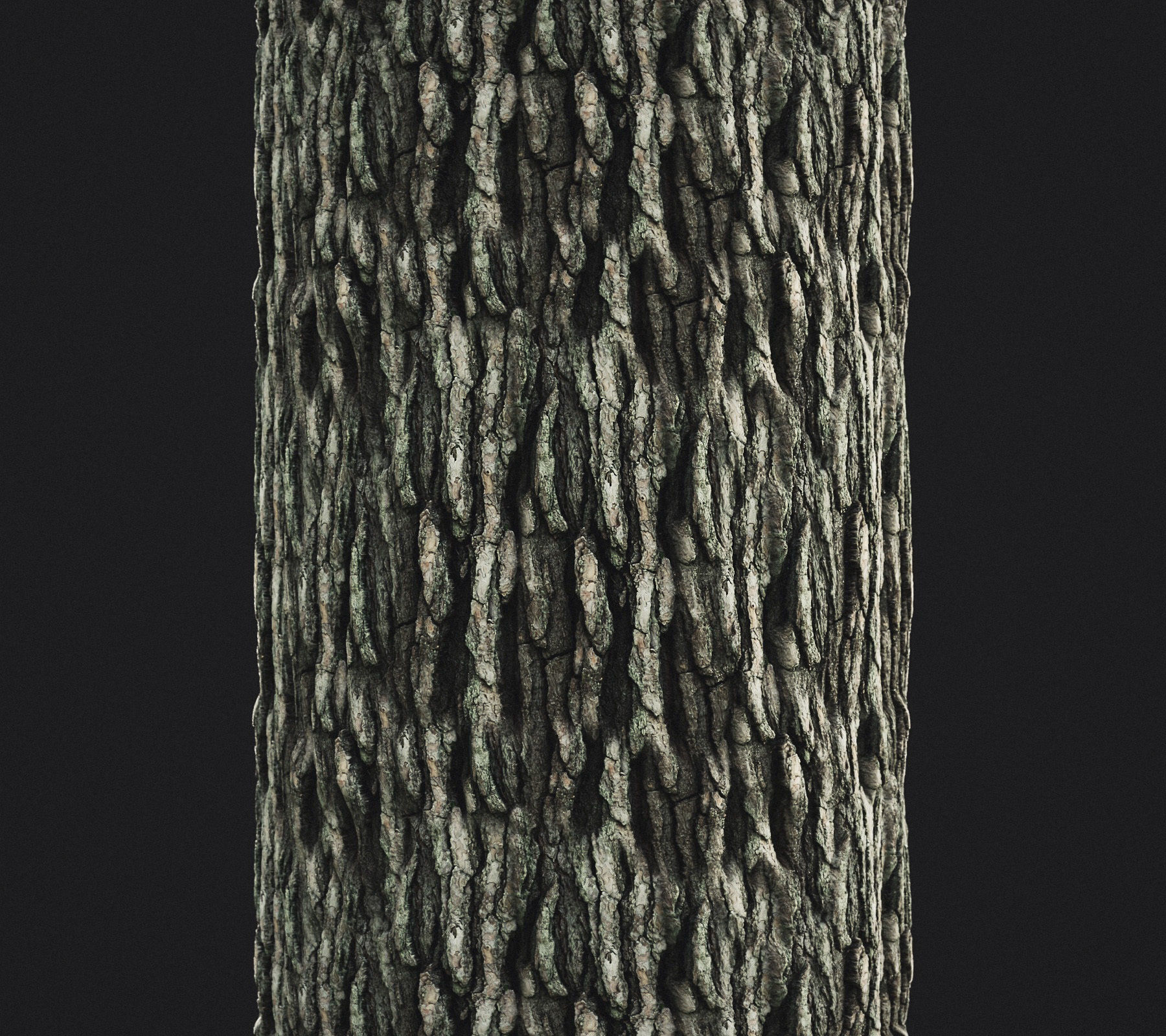 Pine Bark PBR Seamless Texture Texture | CGTrader