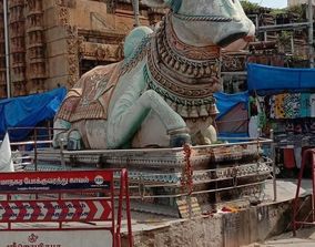 Free Amman 3D Models | CGTrader