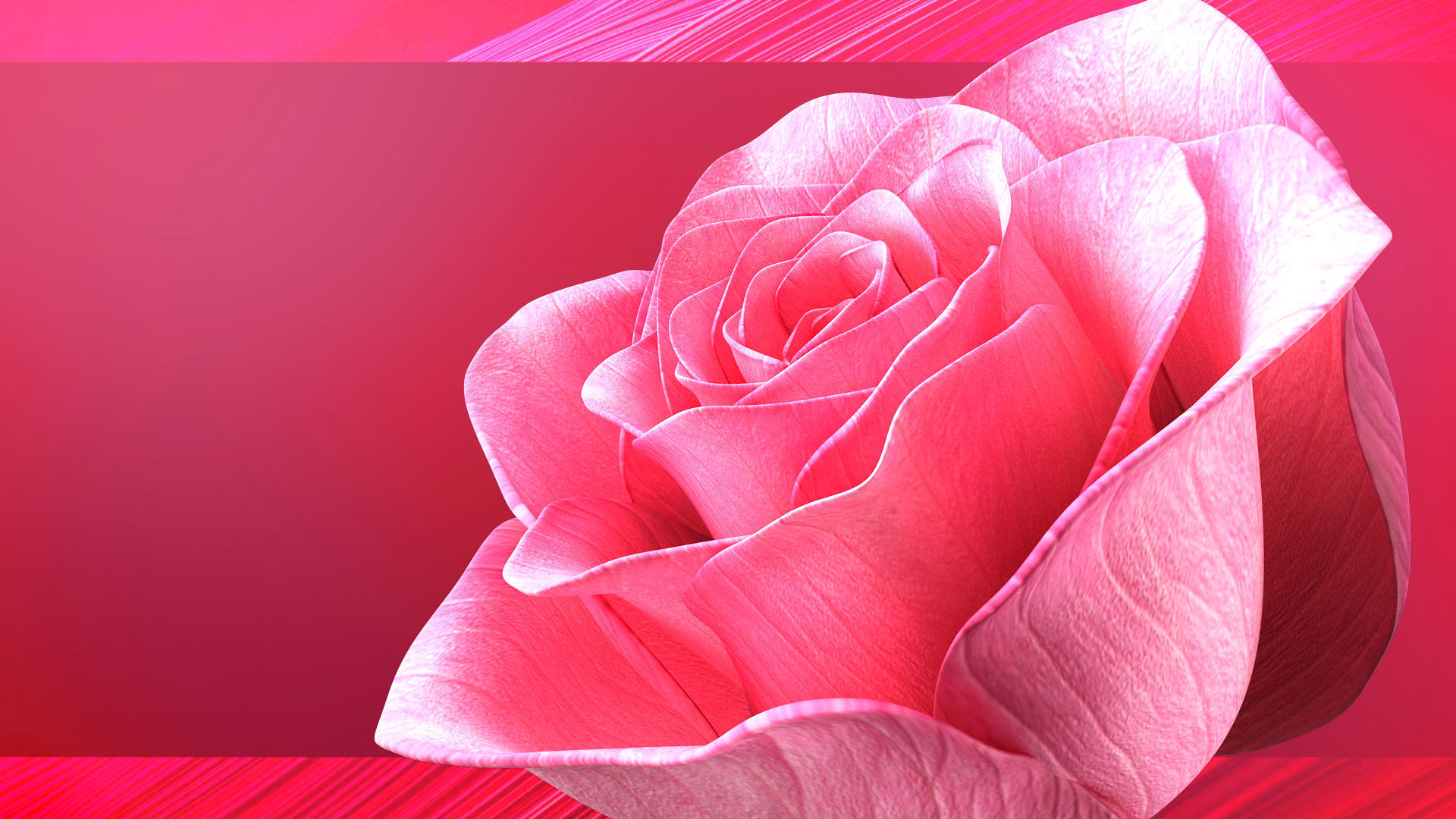 Rose Blast Animated 3D model animated rigged | CGTrader