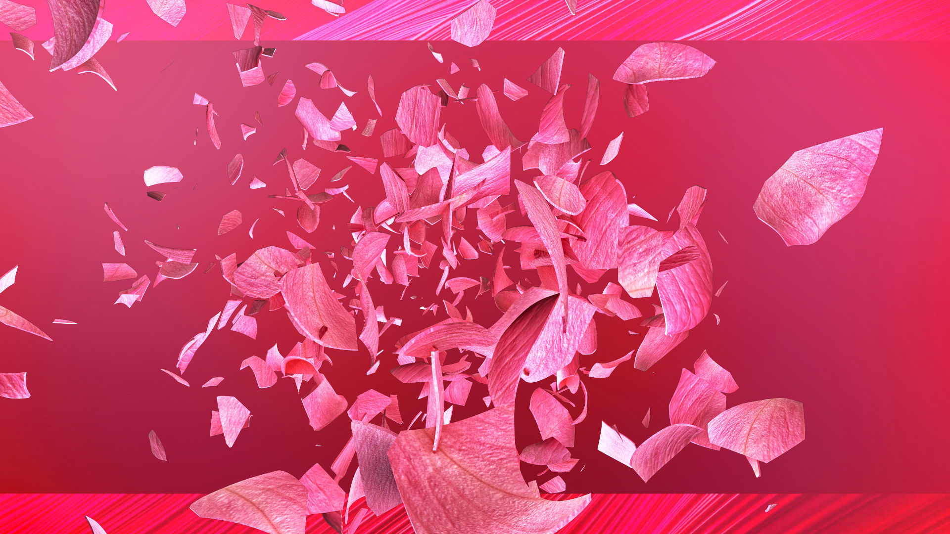 Rose Blast Animated 3D model animated rigged | CGTrader