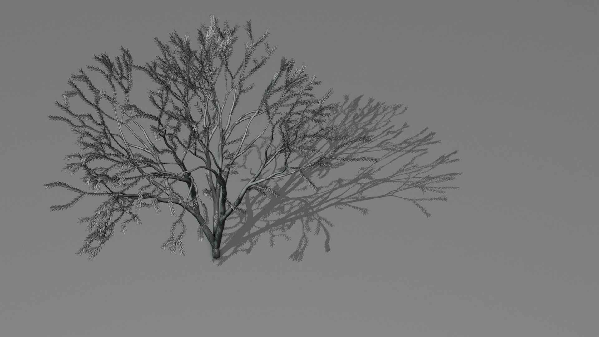 the animated tree free VR / AR / low-poly 3D model animated rigged ...