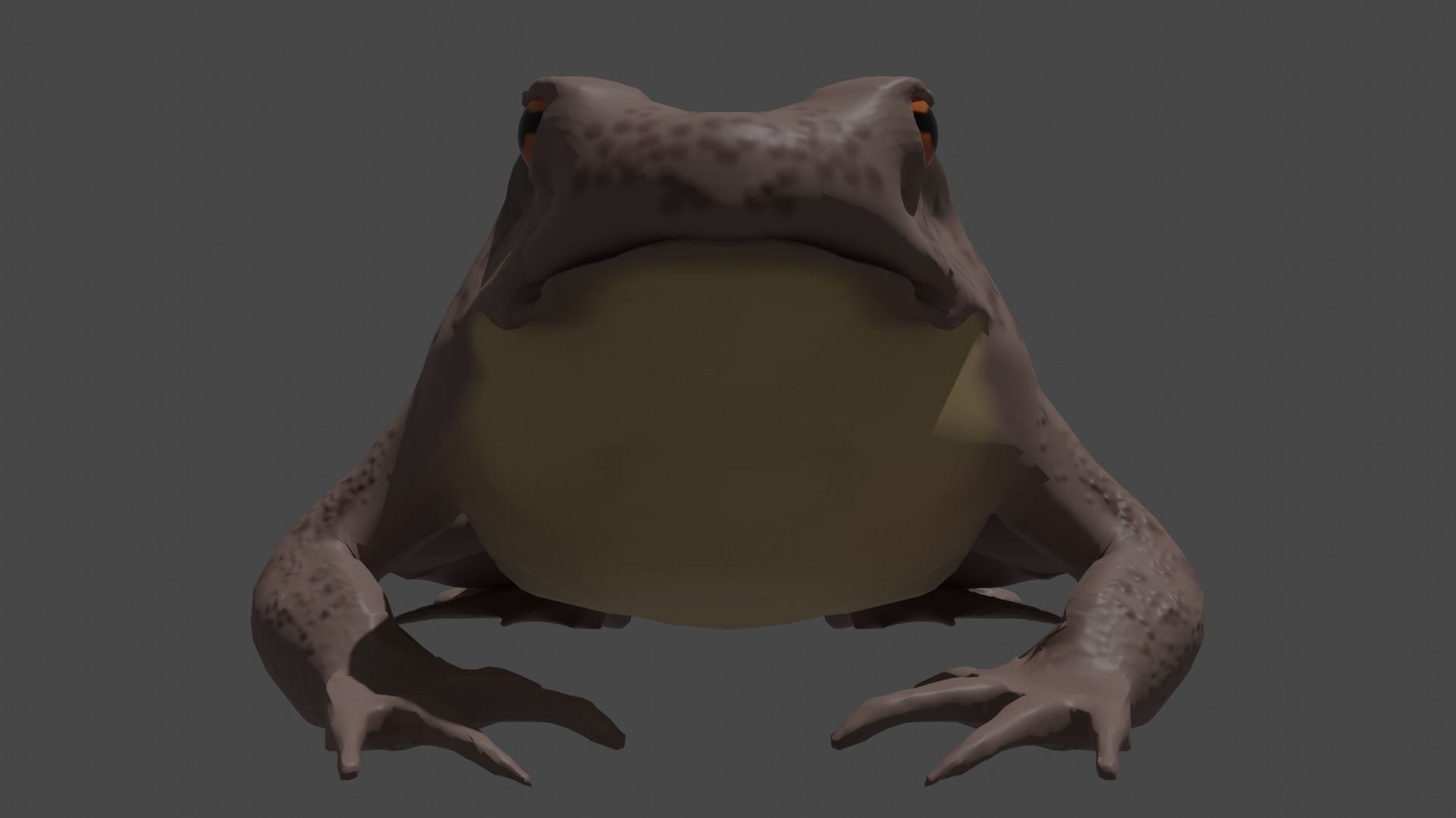 3D model common toad VR / AR / low-poly | CGTrader