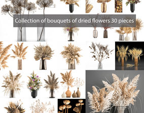 Dry flowers 3D Models | CGTrader