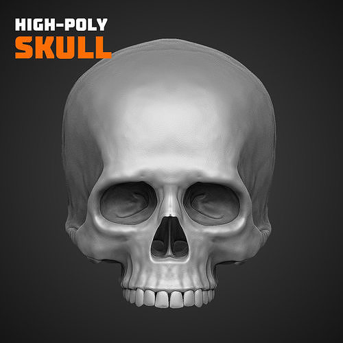3D model High-Poly Skull and VR / AR / low-poly | CGTrader