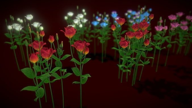 3D model Flower Lisianthus VR / AR / low-poly | CGTrader