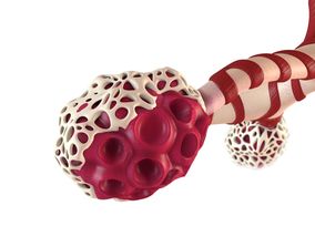 Alveoli 3D Models | CGTrader