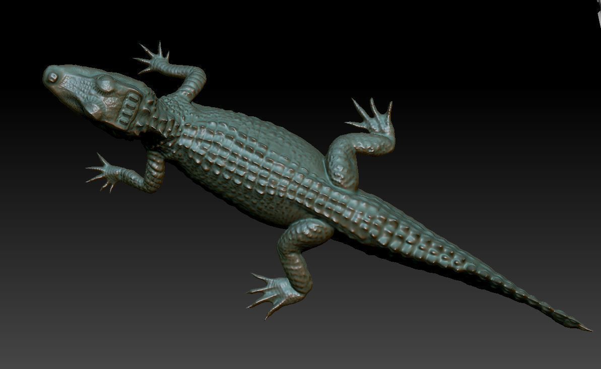 alligator 3D model 3D printable | CGTrader