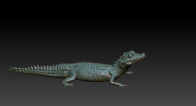 alligator 3D model 3D printable | CGTrader