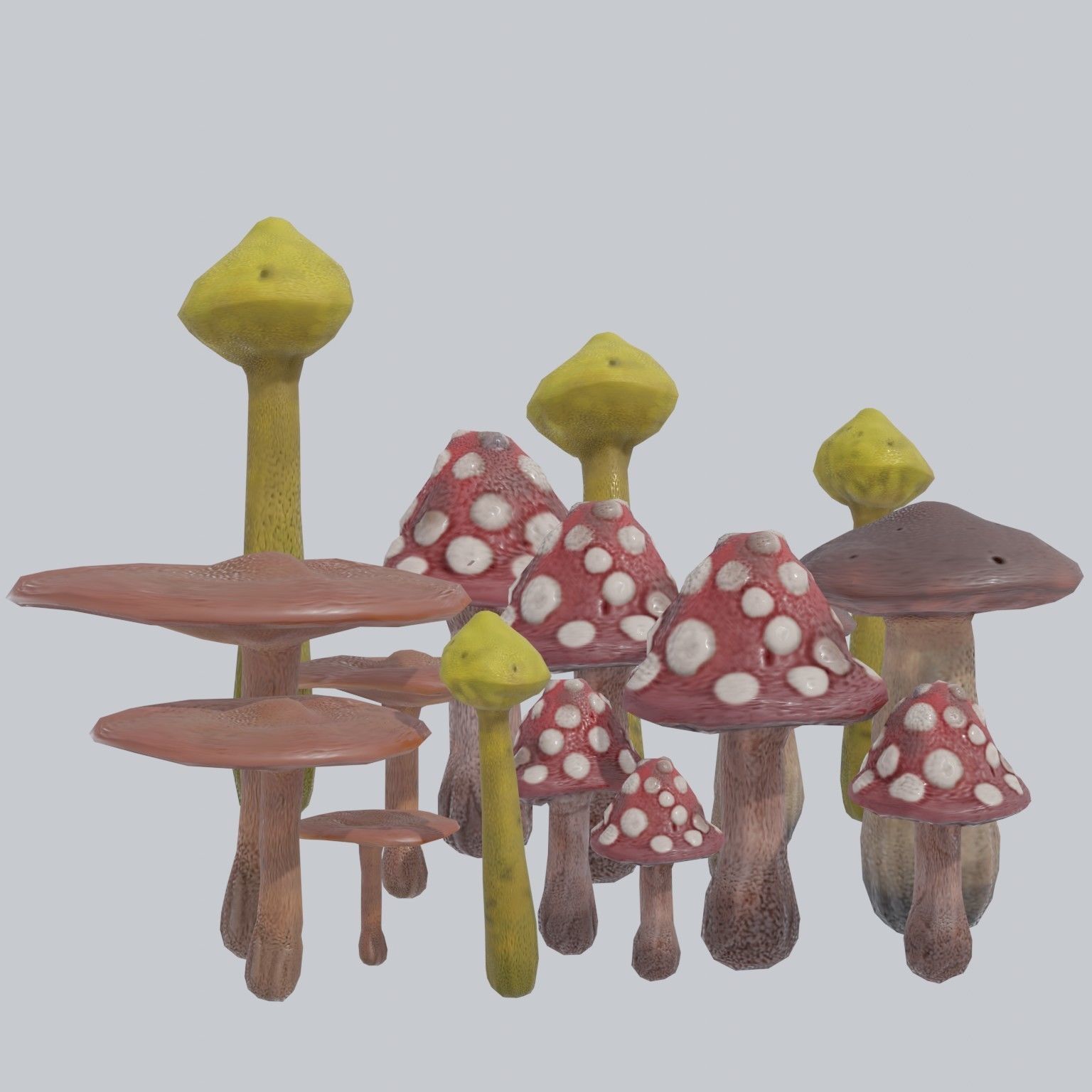 3D model Set of 4 realistic low-poly game-ready mushrooms VR / AR / low ...