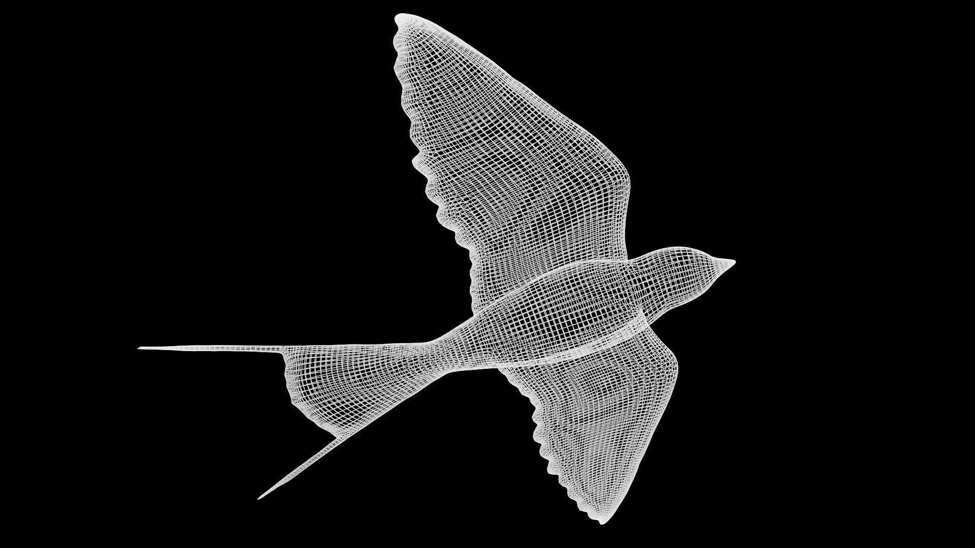 3D model swallow VR / AR / low-poly | CGTrader