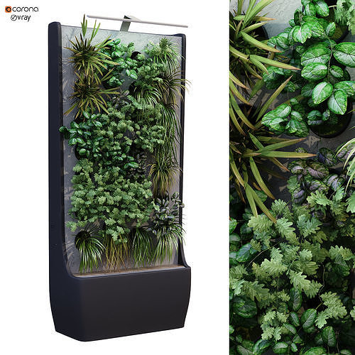 vertical plant box set 177 lowpoly 3D model | CGTrader