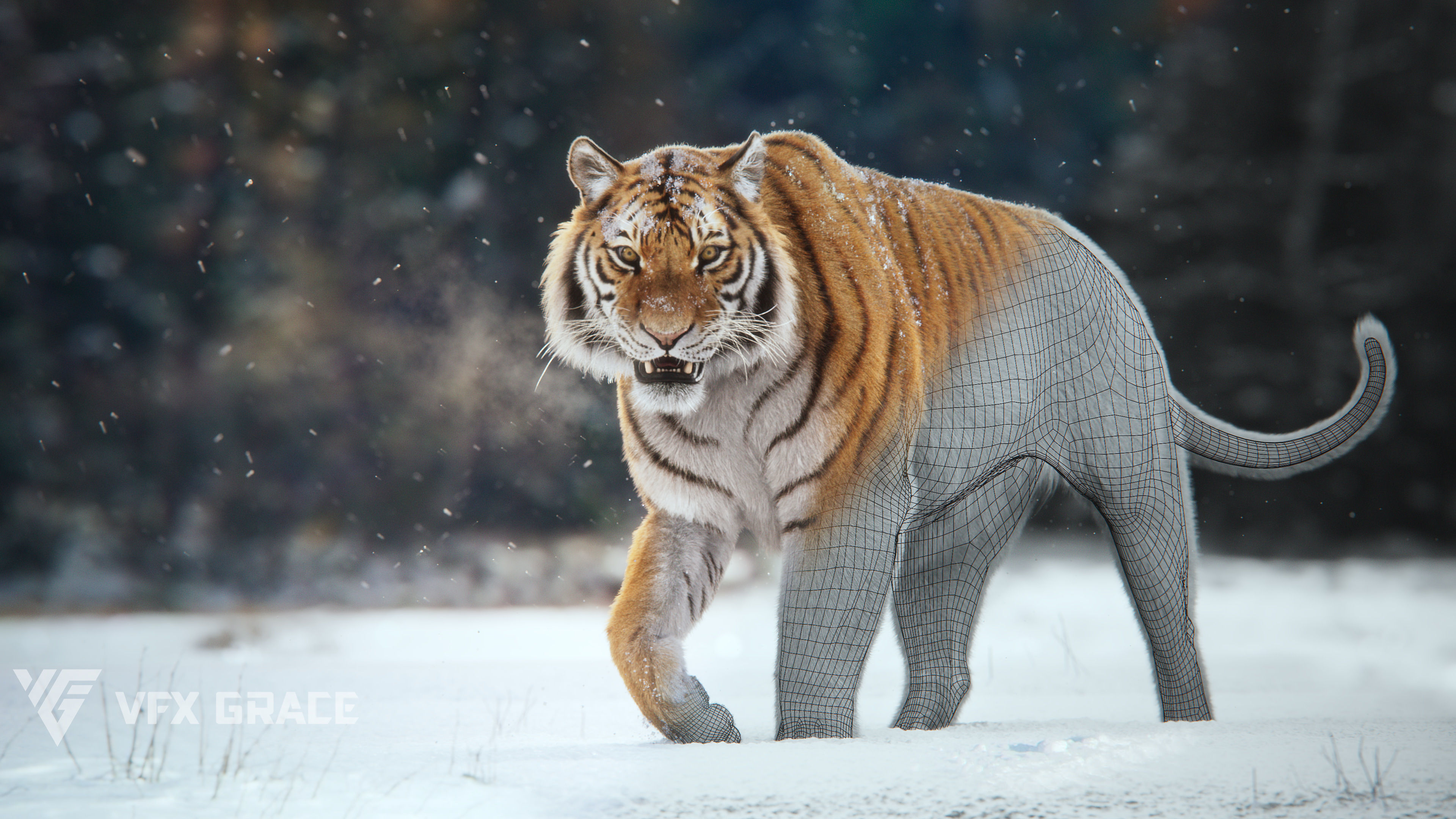 Siberian Tiger Animated VFX Grace 3D model animated rigged | CGTrader