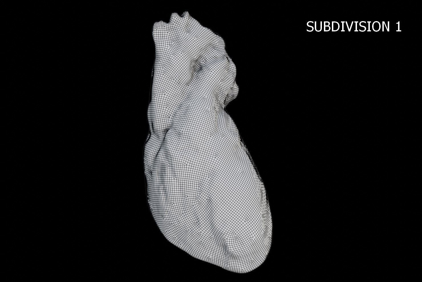 3D model Real Human Heart made from Photogrammetry VR / AR / low-poly ...