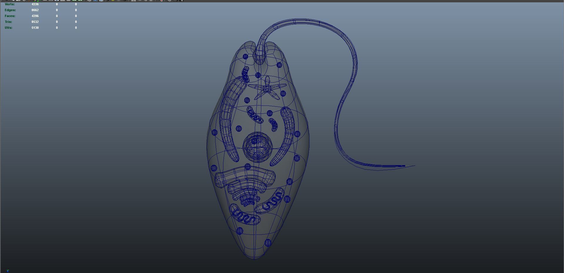 euglena 3D model | CGTrader