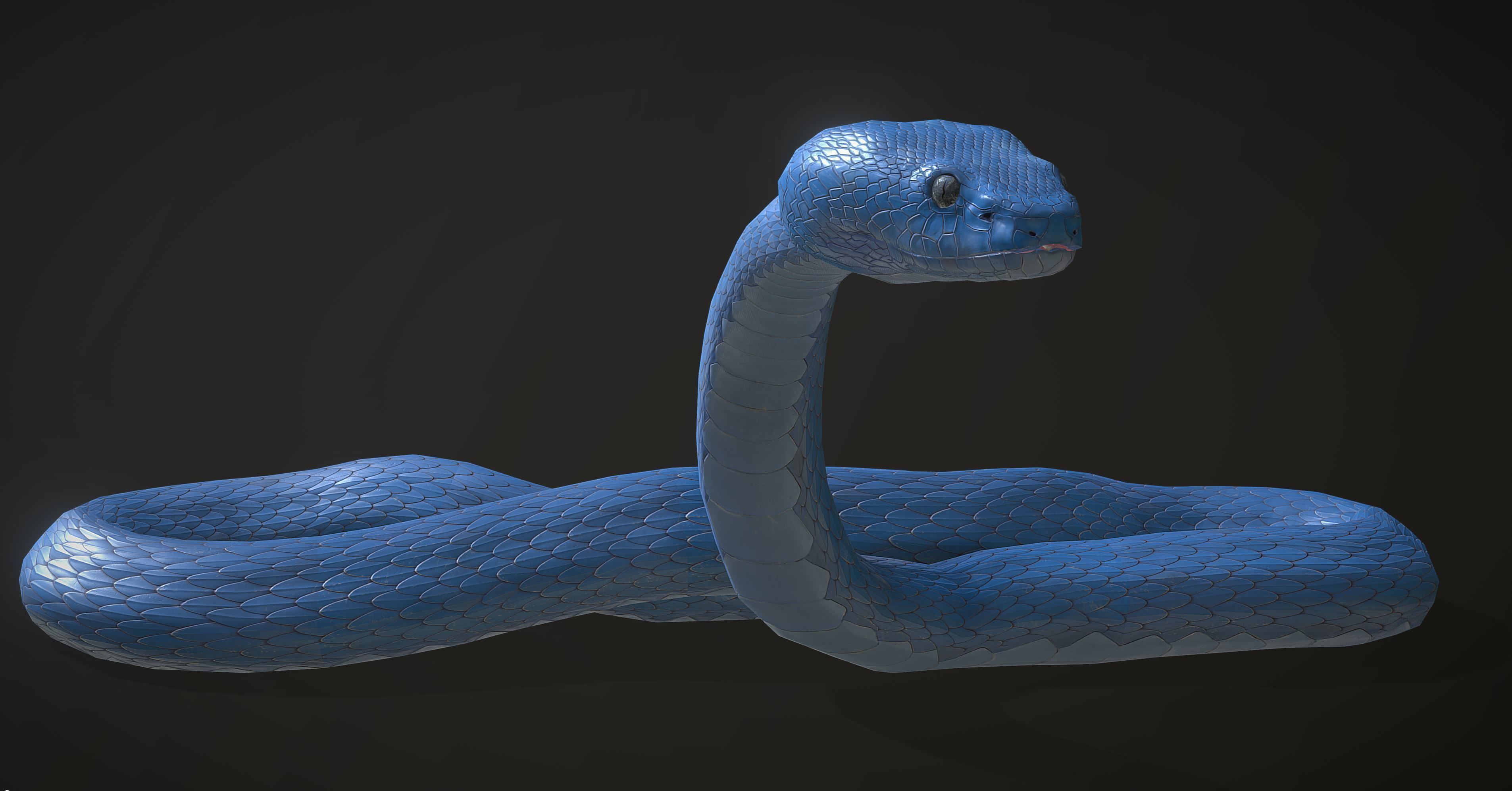3D model Snake - Blue Viper with animations VR / AR / low-poly rigged ...