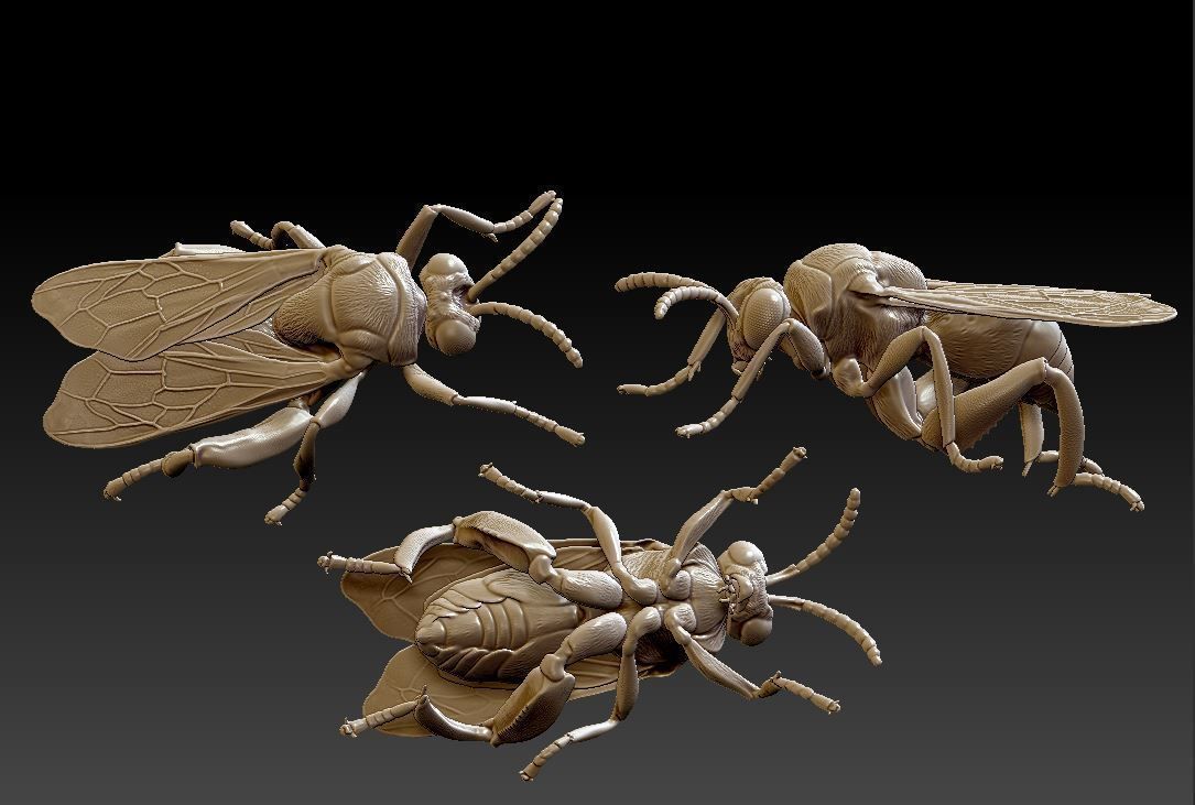 Honey bee 3D model 3D printable | CGTrader