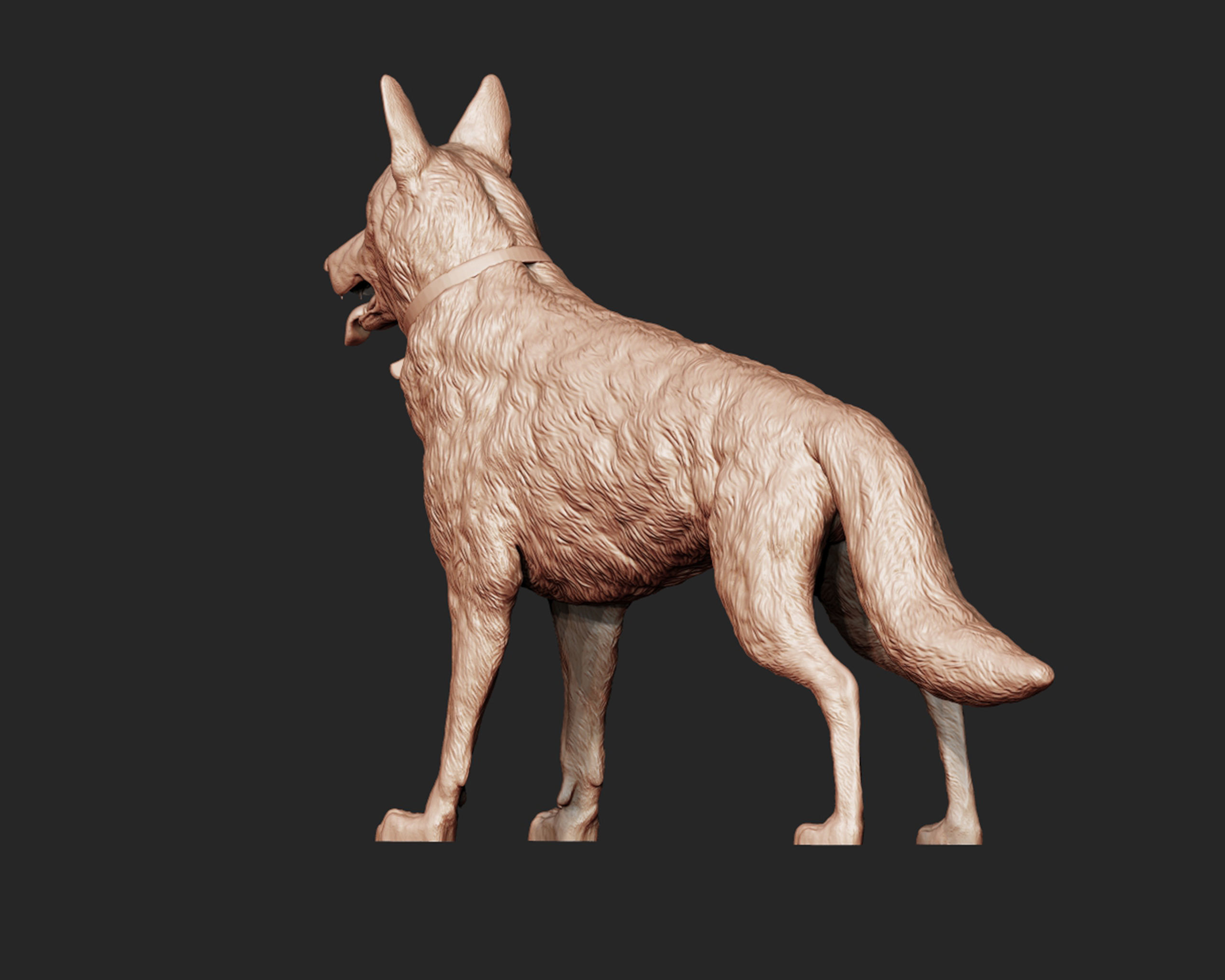 German Shepherd model 3D model 3D printable | CGTrader