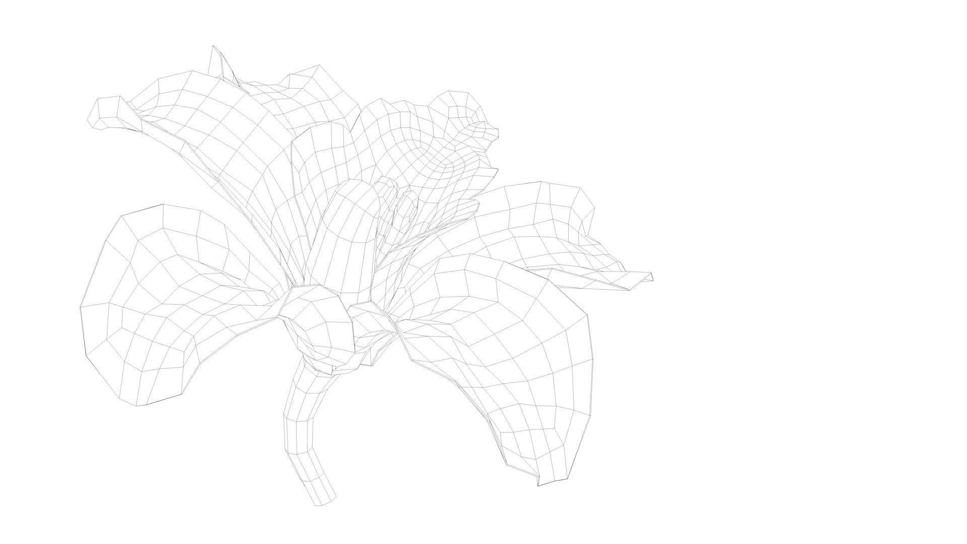 Beautiful Animated Orchid Flower 3D model 3D model animated rigged ...