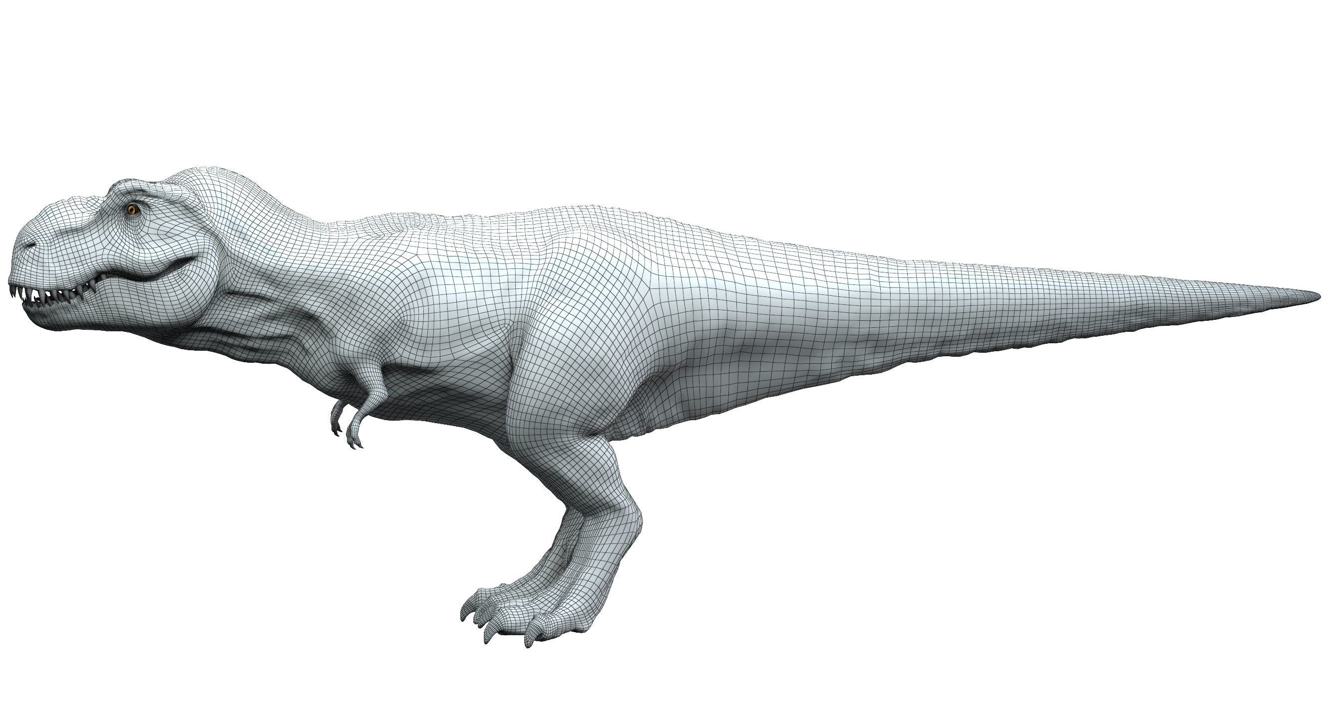 Tyrannosaurus rex 3D model 3D model rigged | CGTrader