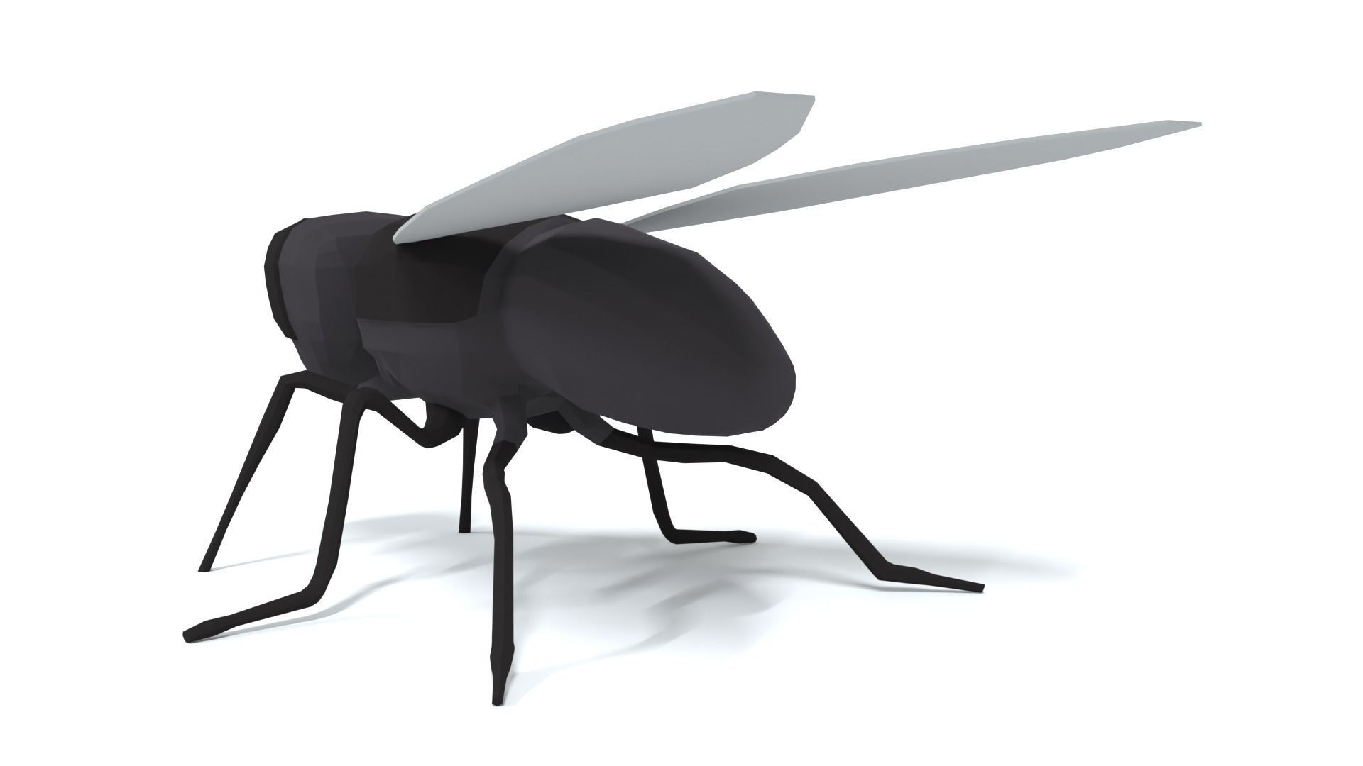 3D model Low Poly Cartoon Fly VR / AR / low-poly | CGTrader