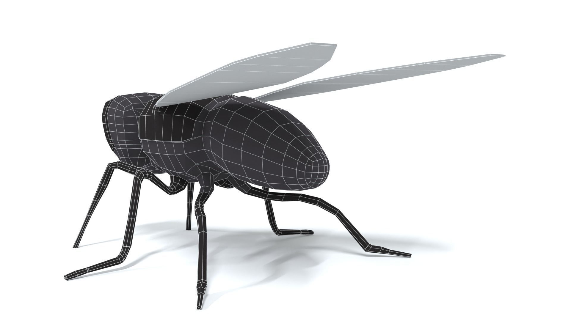 3D model Low Poly Cartoon Fly VR / AR / low-poly | CGTrader