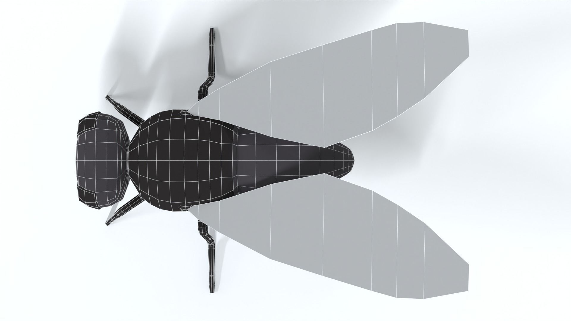 3D model Low Poly Cartoon Fly VR / AR / low-poly | CGTrader