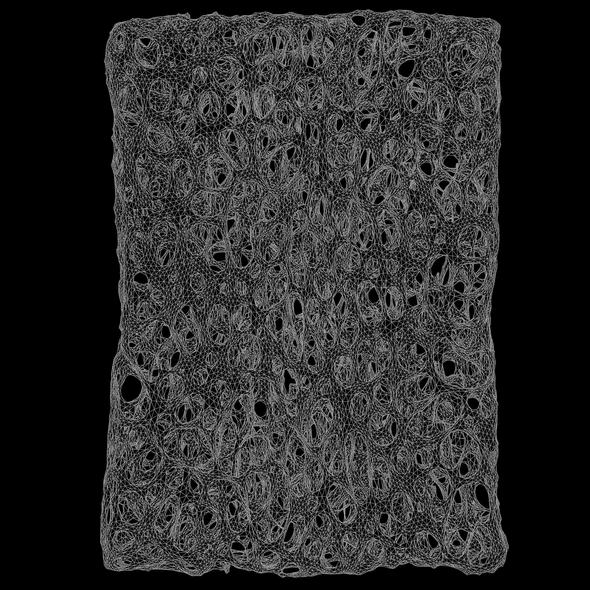 Bone Structure Sponge 3D model | CGTrader