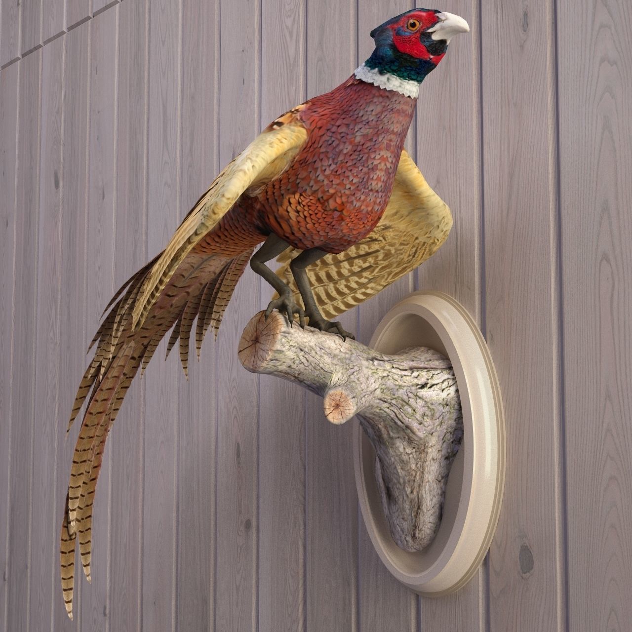 PHEASANT HUNTING 3D model | CGTrader