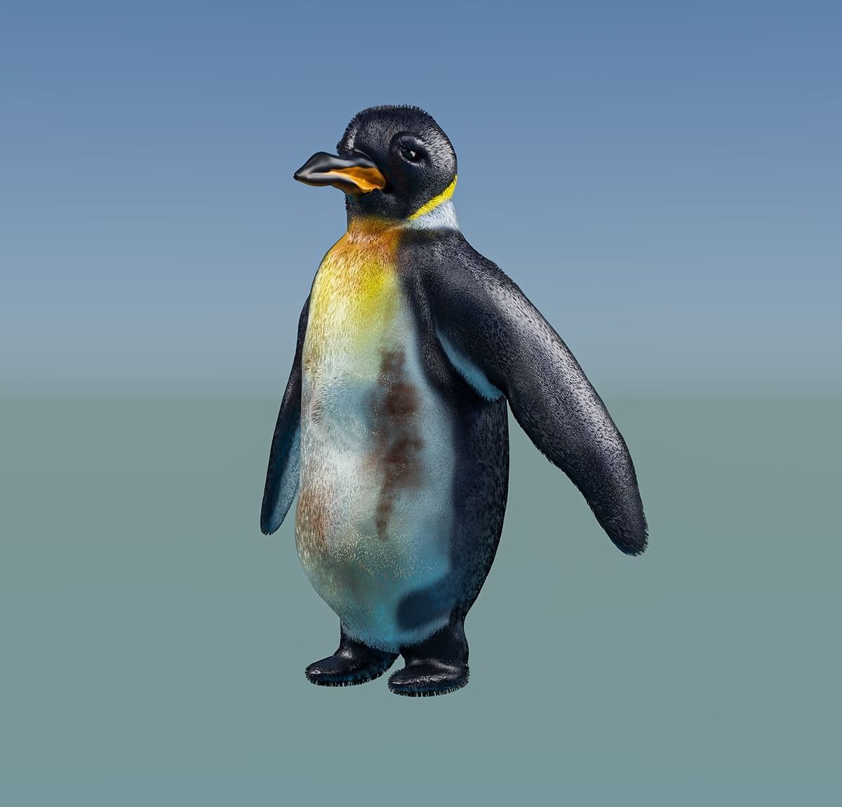 Emperor Penguin 3D model rigged | CGTrader