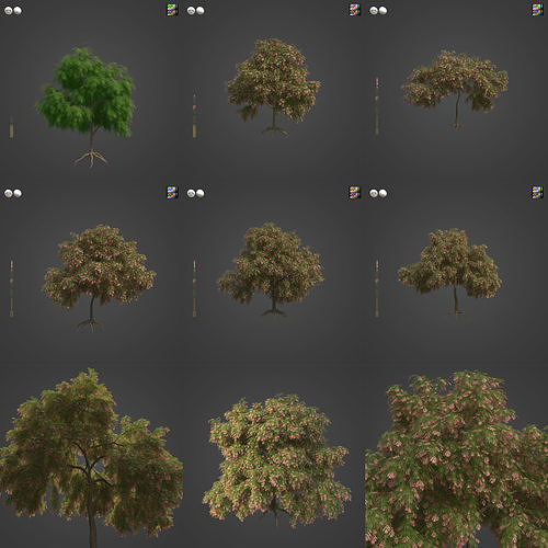2021 PBR French Tamarisk Collection - Tamarix Gallica 3D model | CGTrader