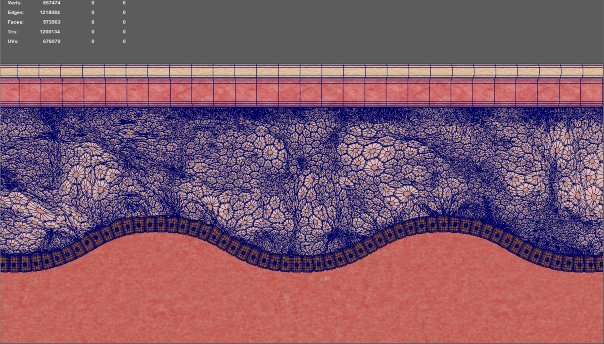 Skin layer Healthy 3D model 3D model | CGTrader