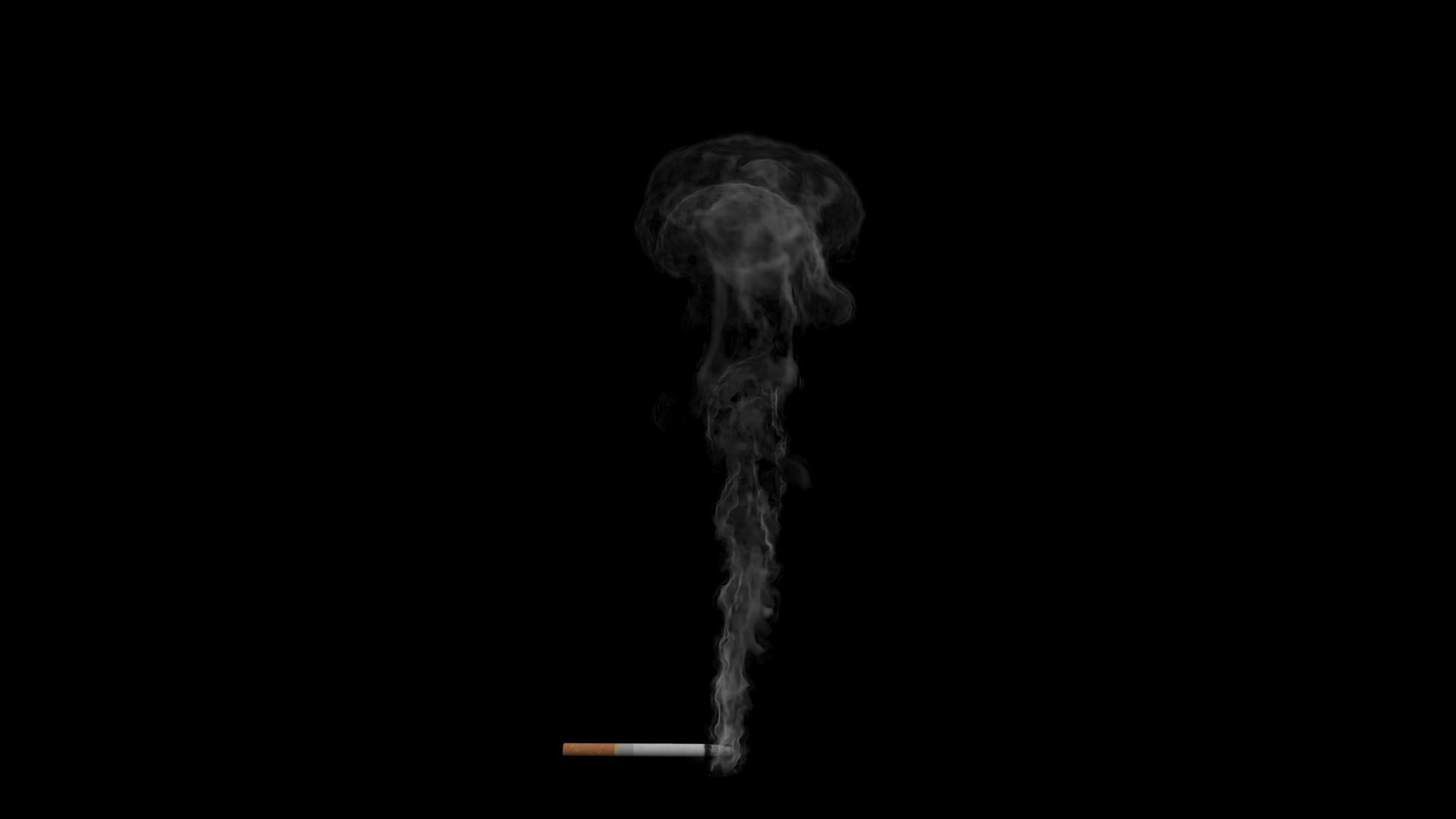 Cigarette and smoke fog 3D model | CGTrader