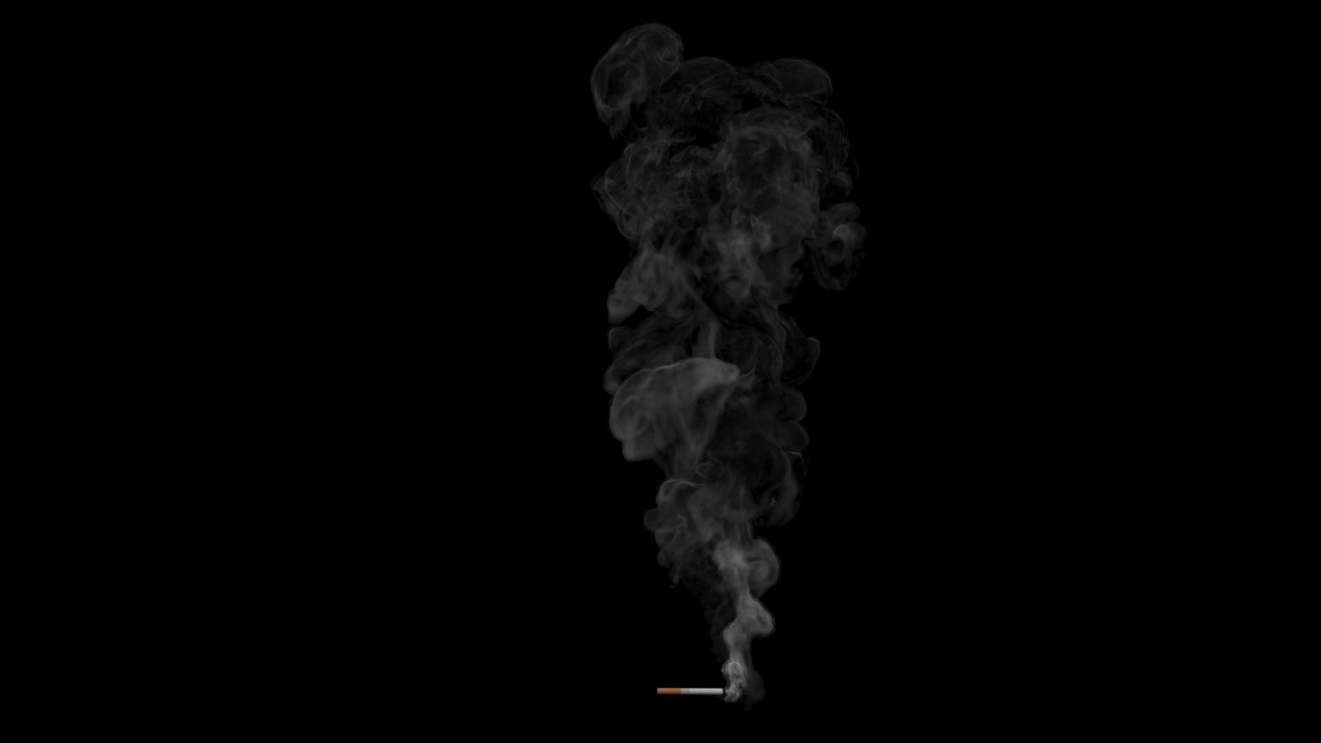 Cigarette and smoke fog 3D model | CGTrader